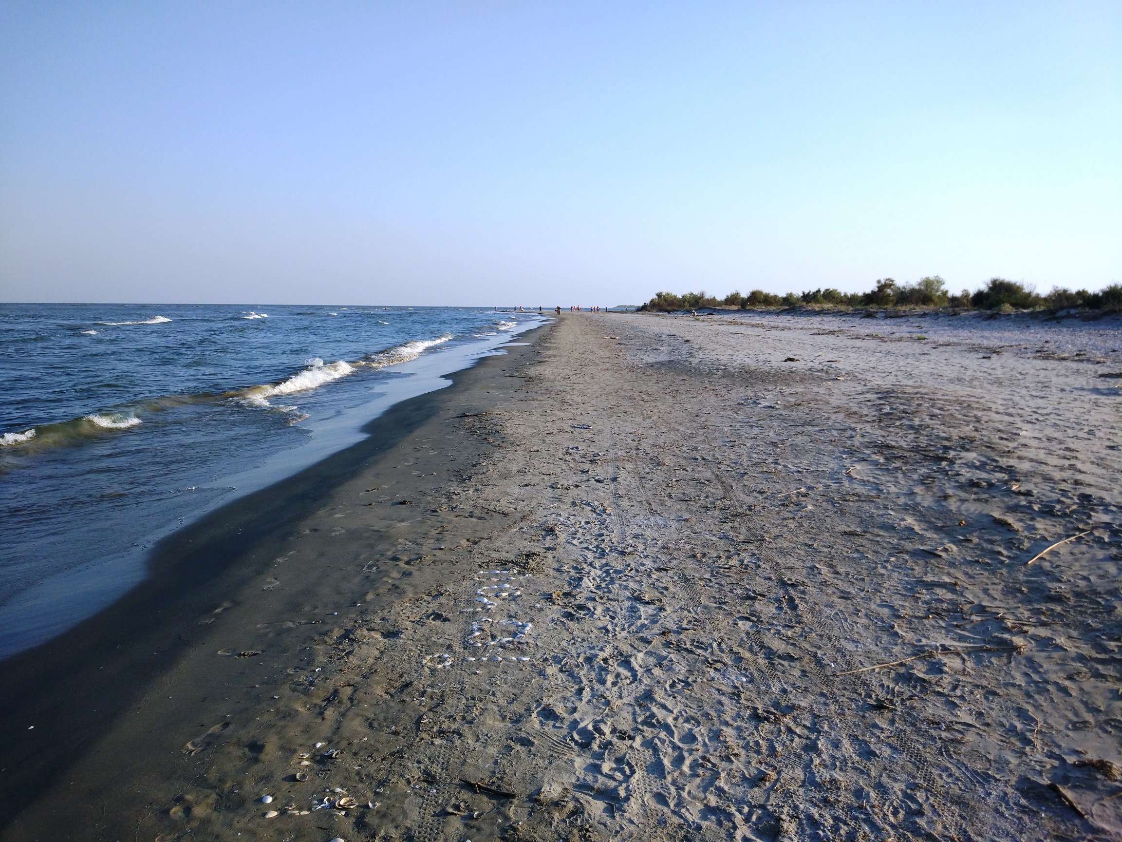 Plajele din Delta Dunării