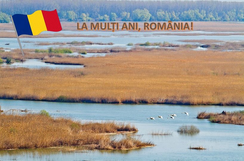 La mulți ani, România! - Gorgova | Maliuc | Delta Dunarii