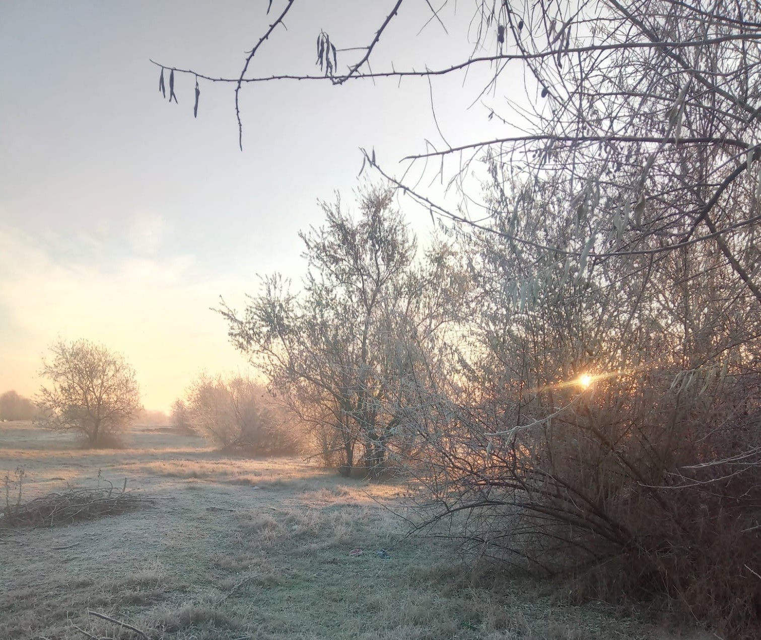 Primele zile de iarnă în Delta Dunării - Gorgova | Maliuc | Delta Dunarii