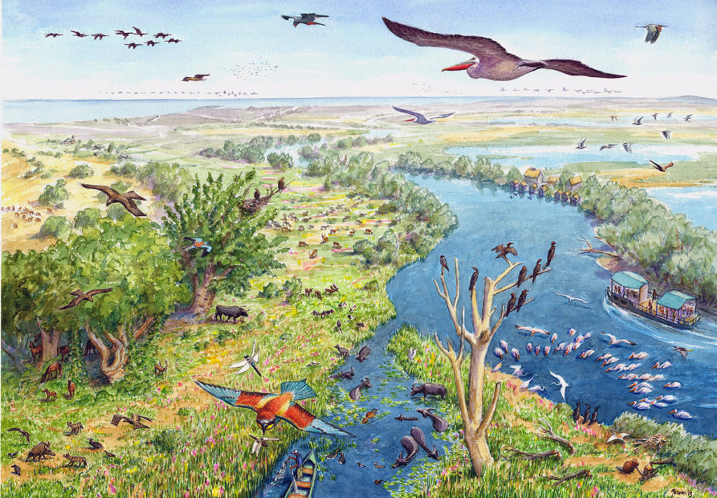 World Rewilding Day 2023 celebrates the hopeful message of nature ...