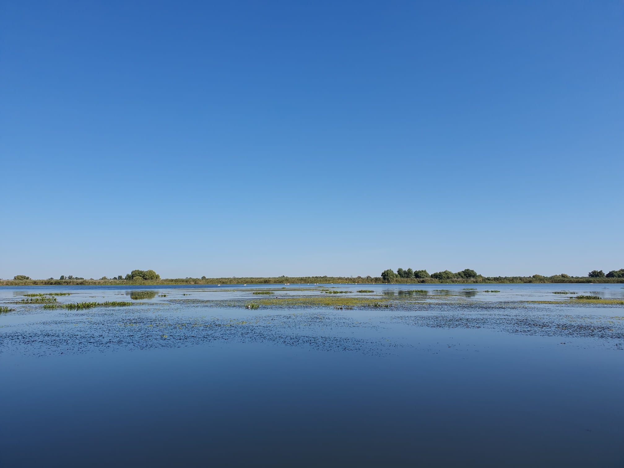 Vacanță în Delta Dunării: Aventură în natură - Gorgova | Maliuc | Delta ...