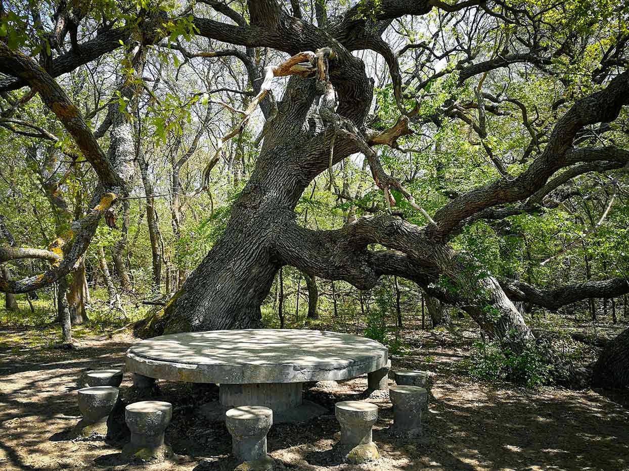 Excursii Caraorman 2024: Descoperă Paradisul Deltei Dunării